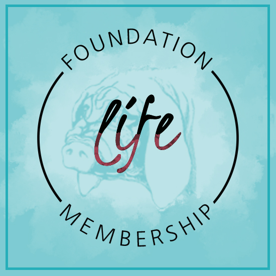 AMBA Foundation Life Membership - American Meishan Breeders Association